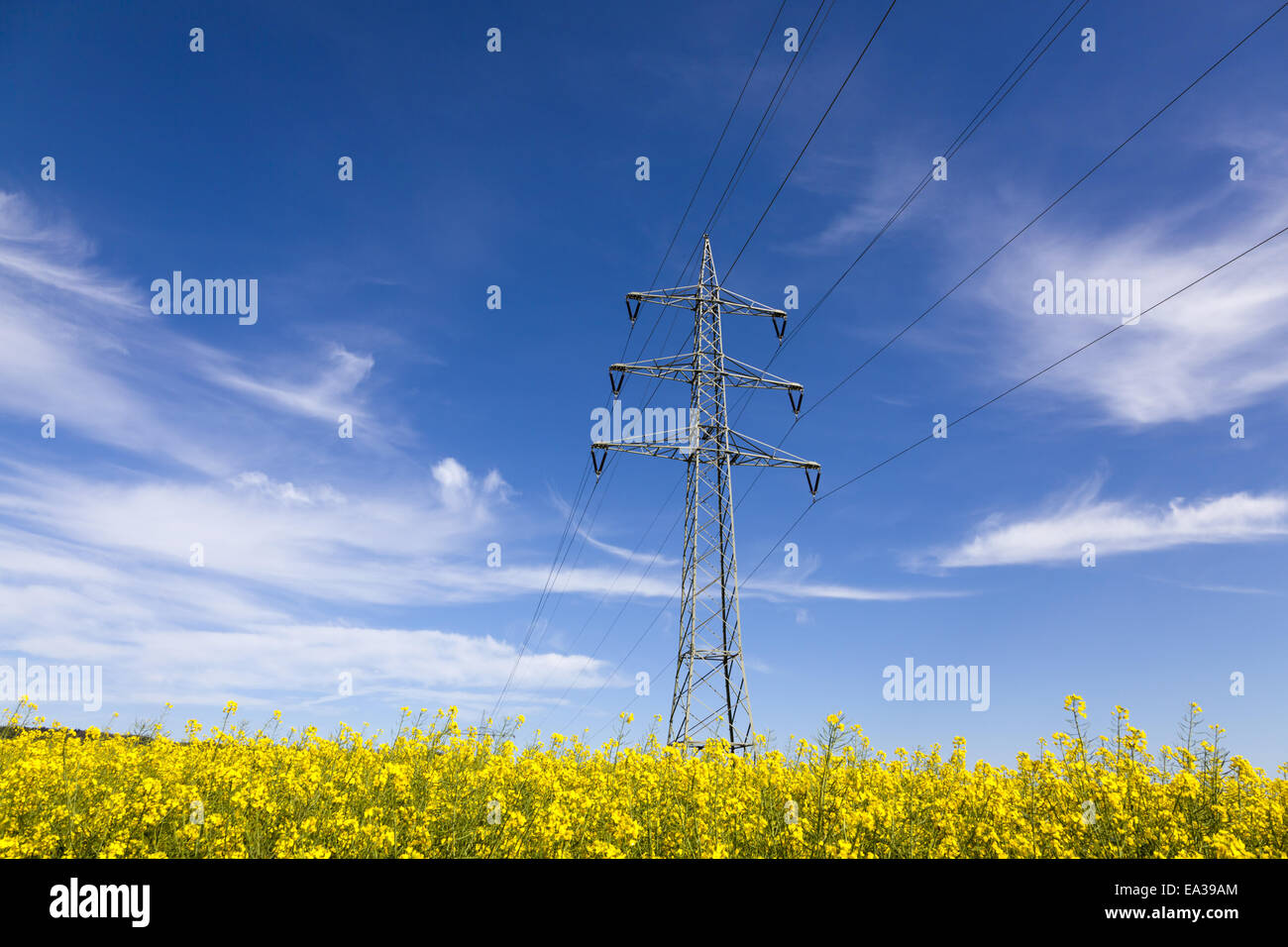 Have an alternative hi-res stock photography and images - Alamy
