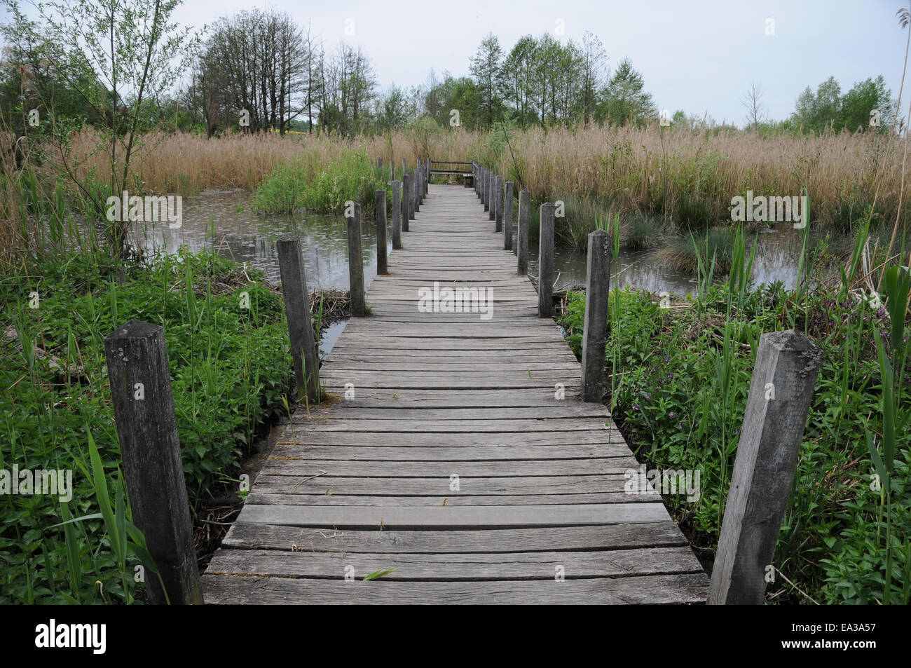 Wooden foot bridge Stock Photo - Alamy