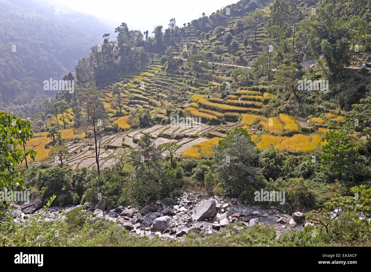 Traditional urban terraces hi-res stock photography and images - Alamy
