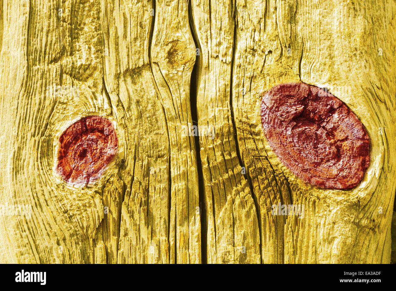 wood with eyes Stock Photo - Alamy