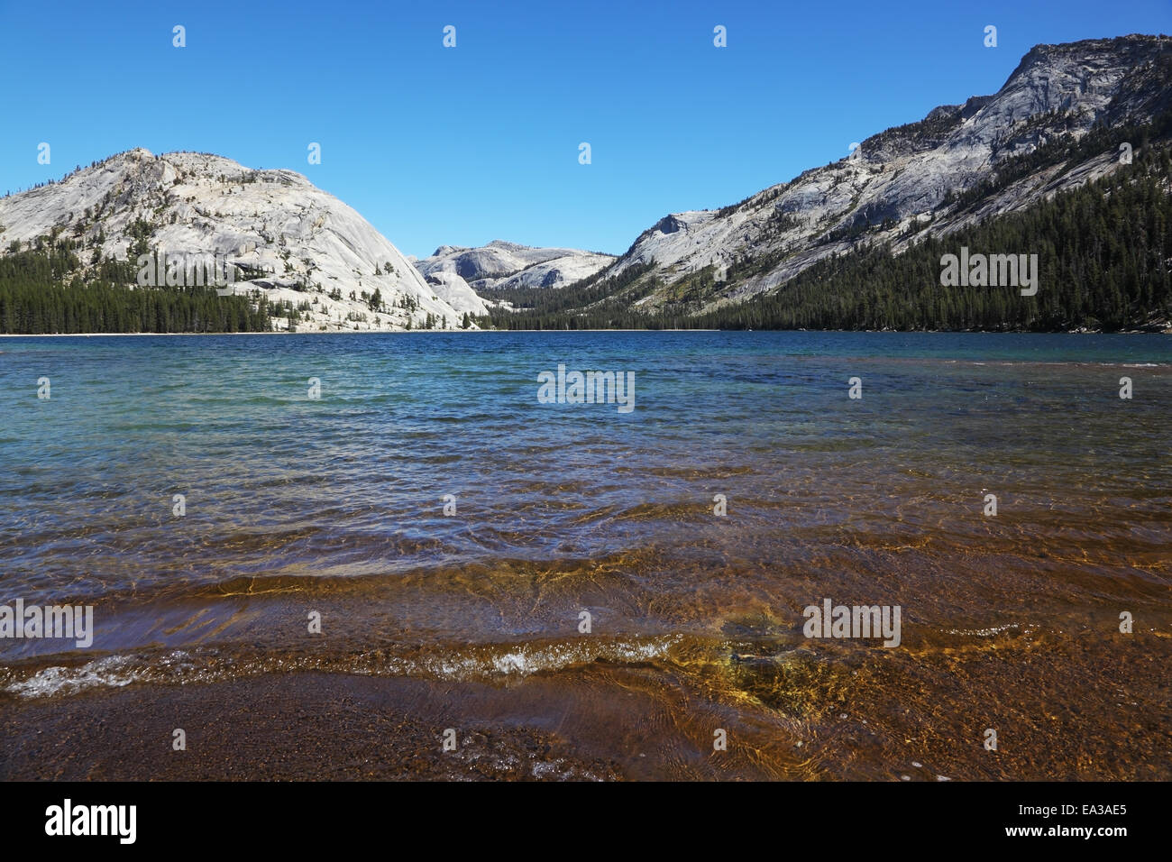 Shallow on lake Stock Photo - Alamy