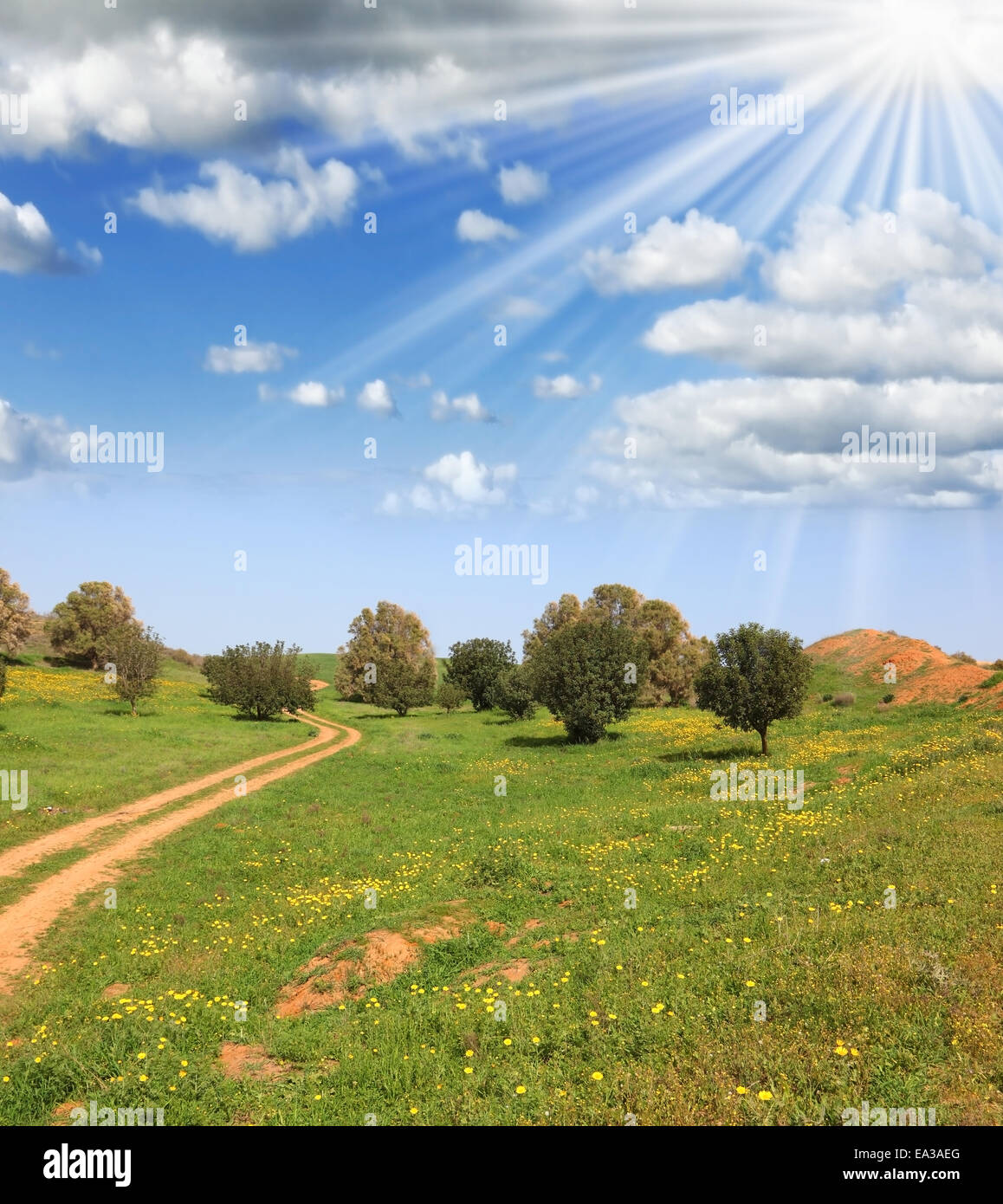 Sparkling beams of the midday sun Stock Photo - Alamy
