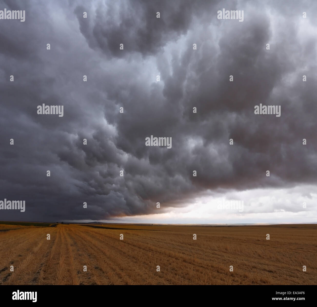 Terrible weather hi-res stock photography and images - Alamy