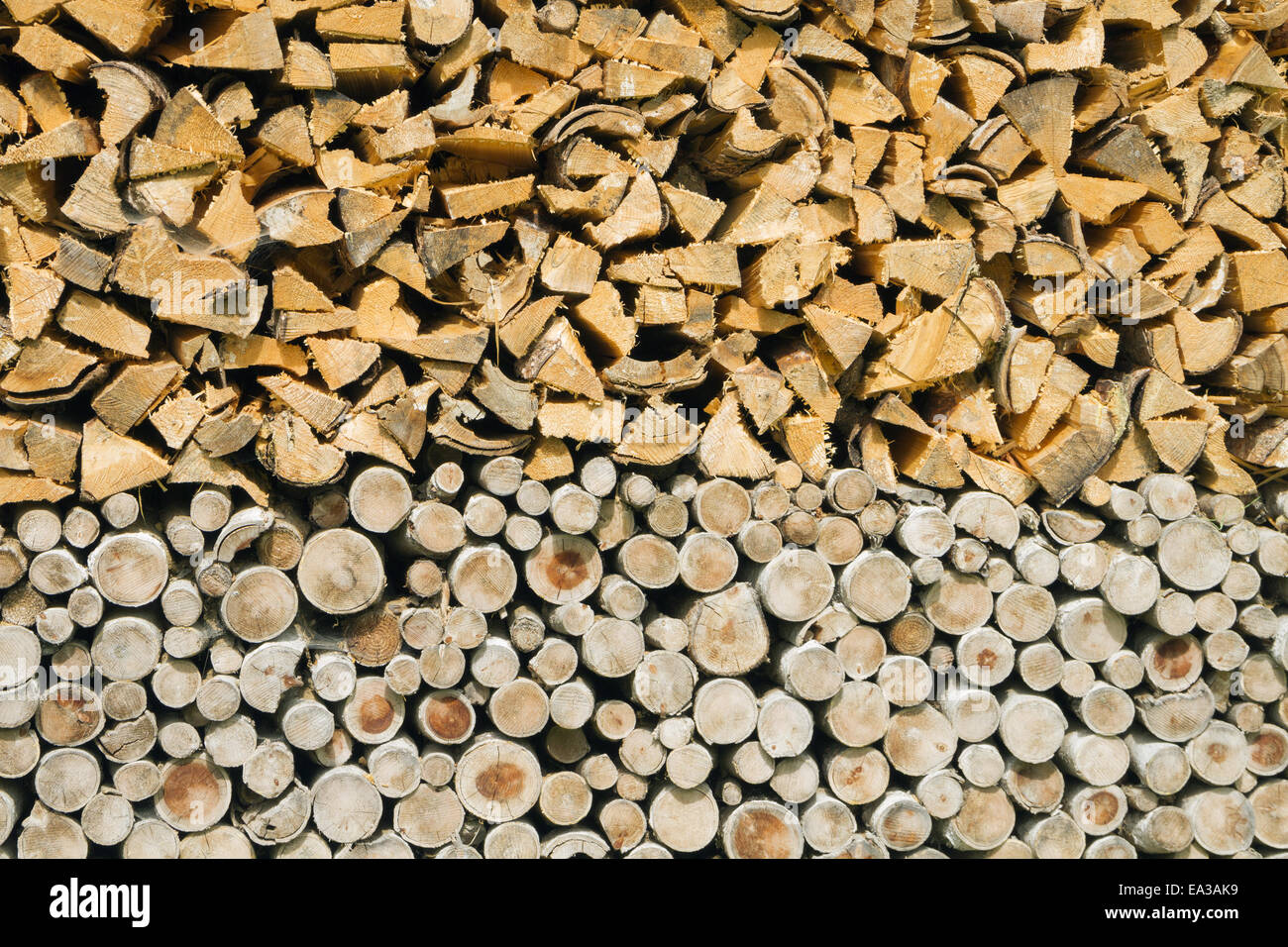 Biogenic materials hi-res stock photography and images - Alamy