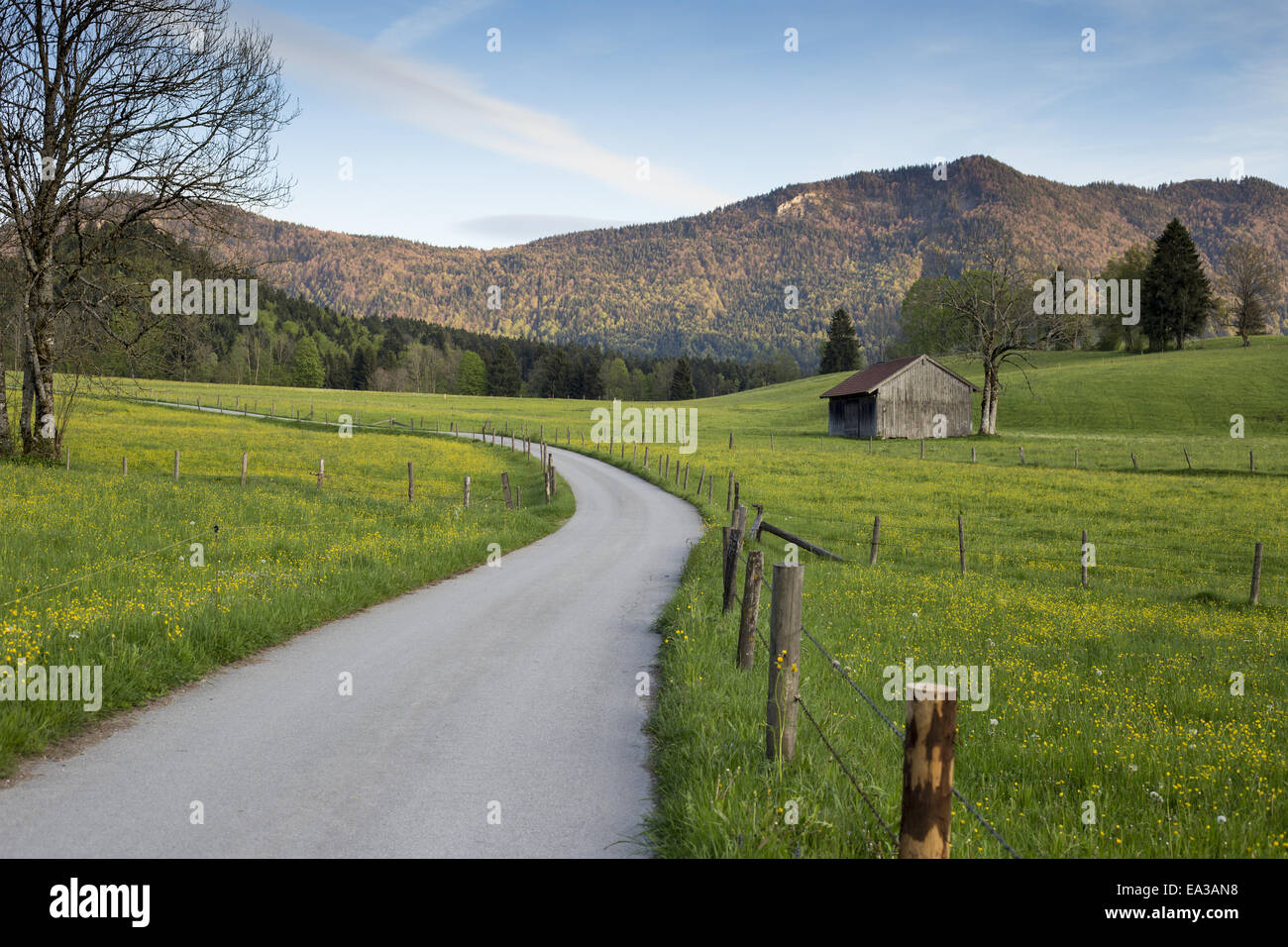 street and landscape Stock Photo - Alamy
