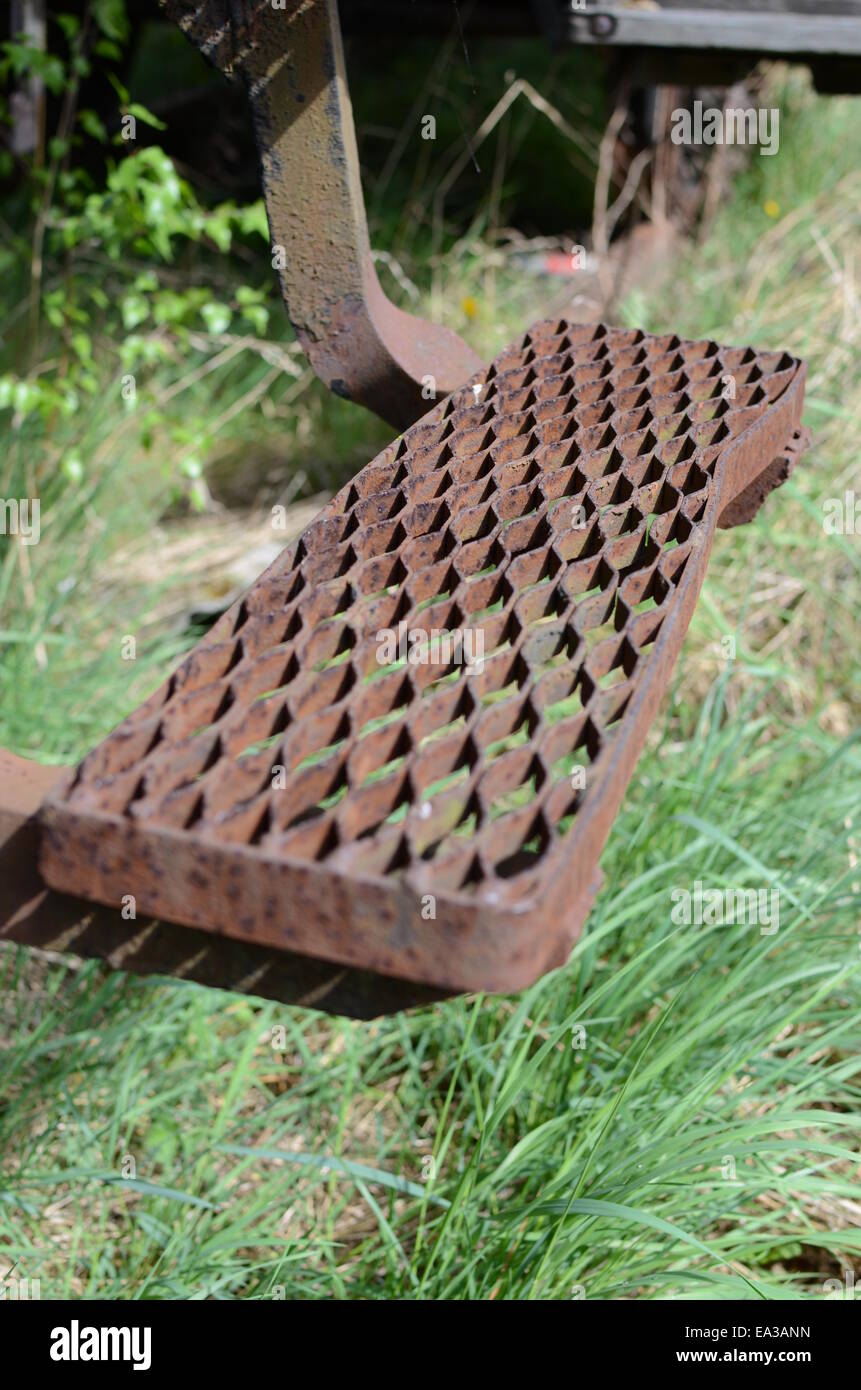 Copycat hi-res stock photography and images - Alamy