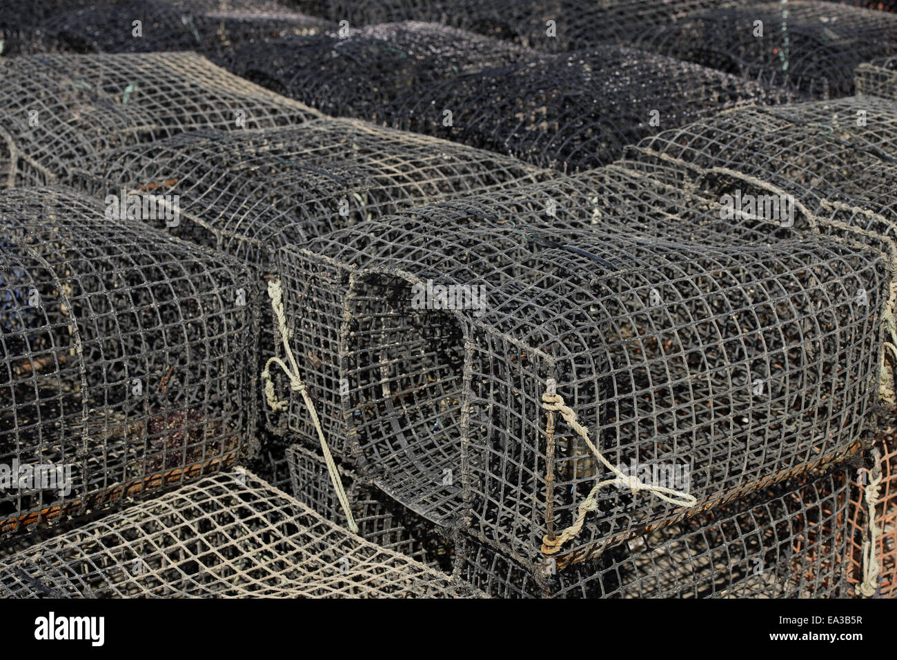 Shellfish baskets hi-res stock photography and images - Alamy