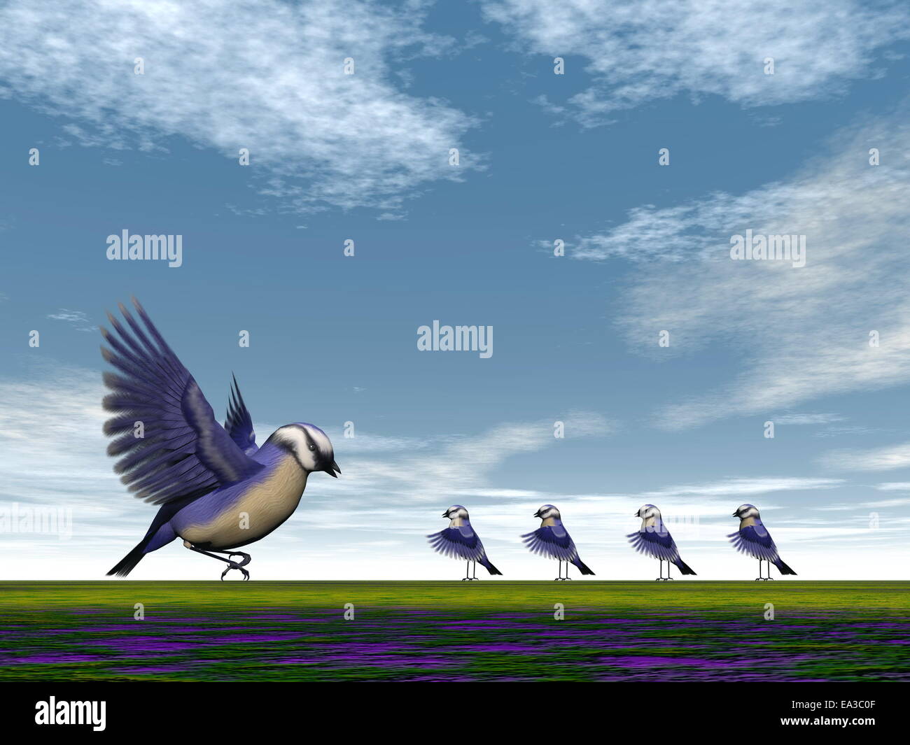 Florida jay birds family - 3D render Stock Photo - Alamy