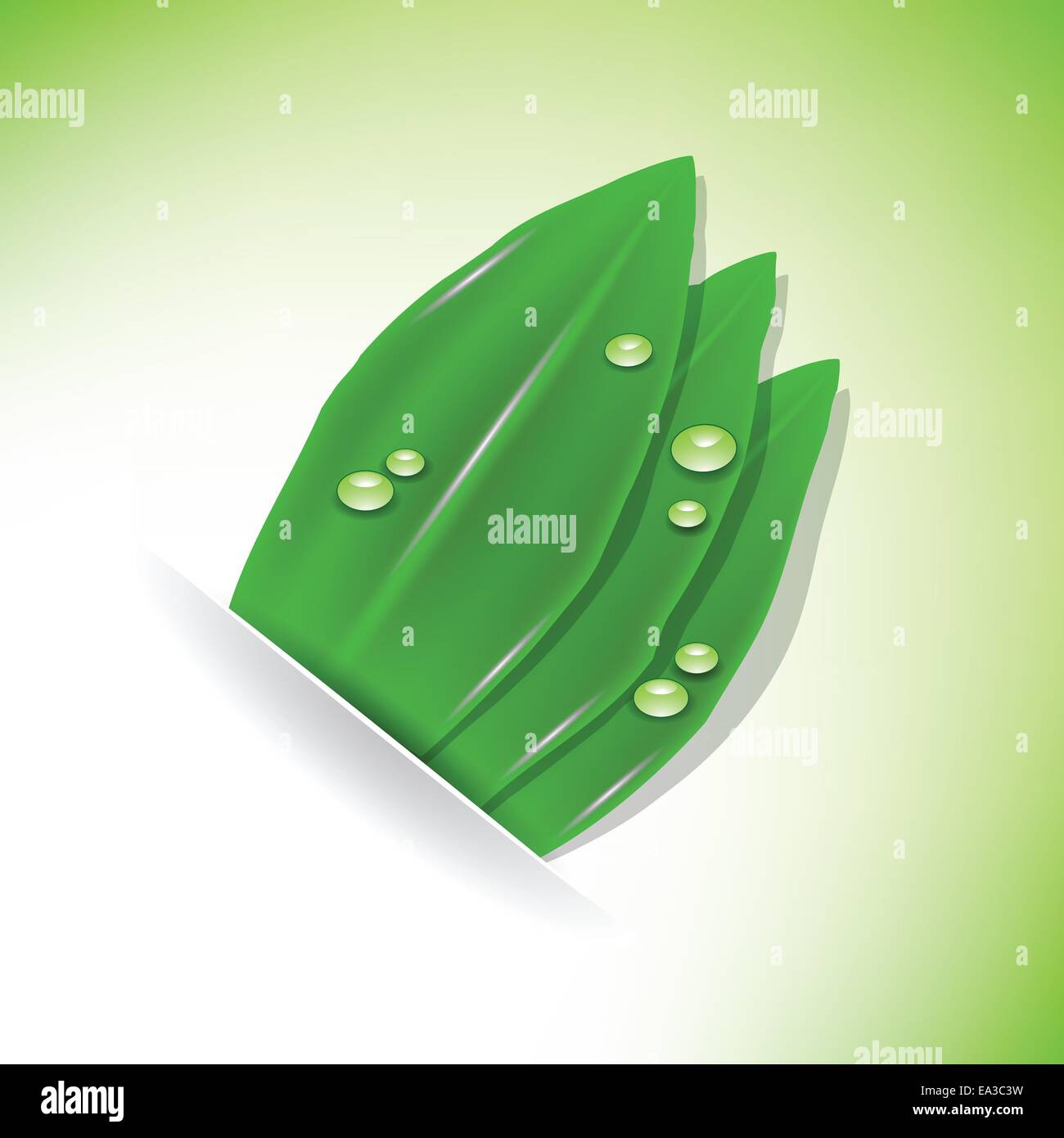 Gui plant hi-res stock photography and images - Alamy