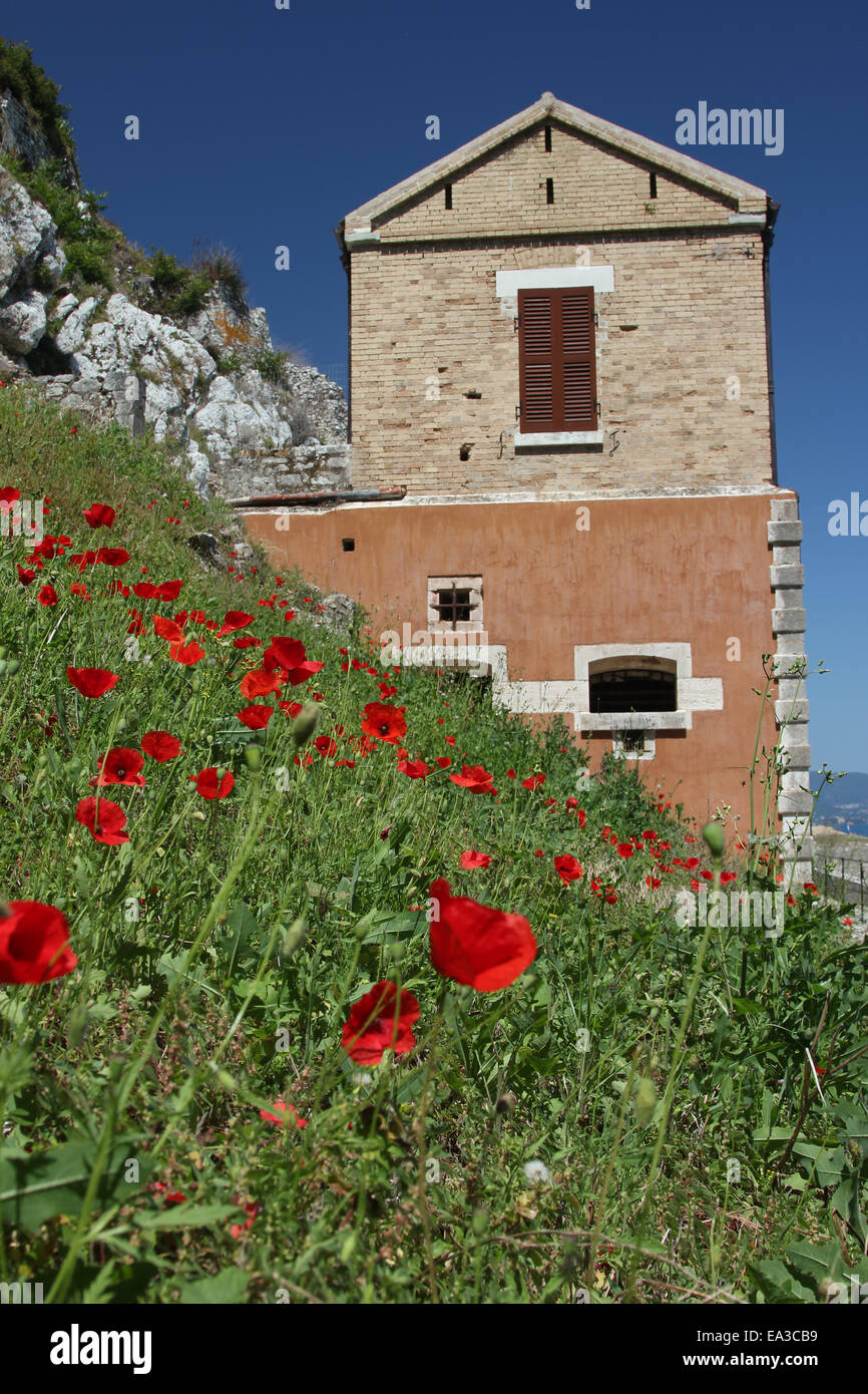 Poppies in front house in hi-res stock photography and images - Alamy