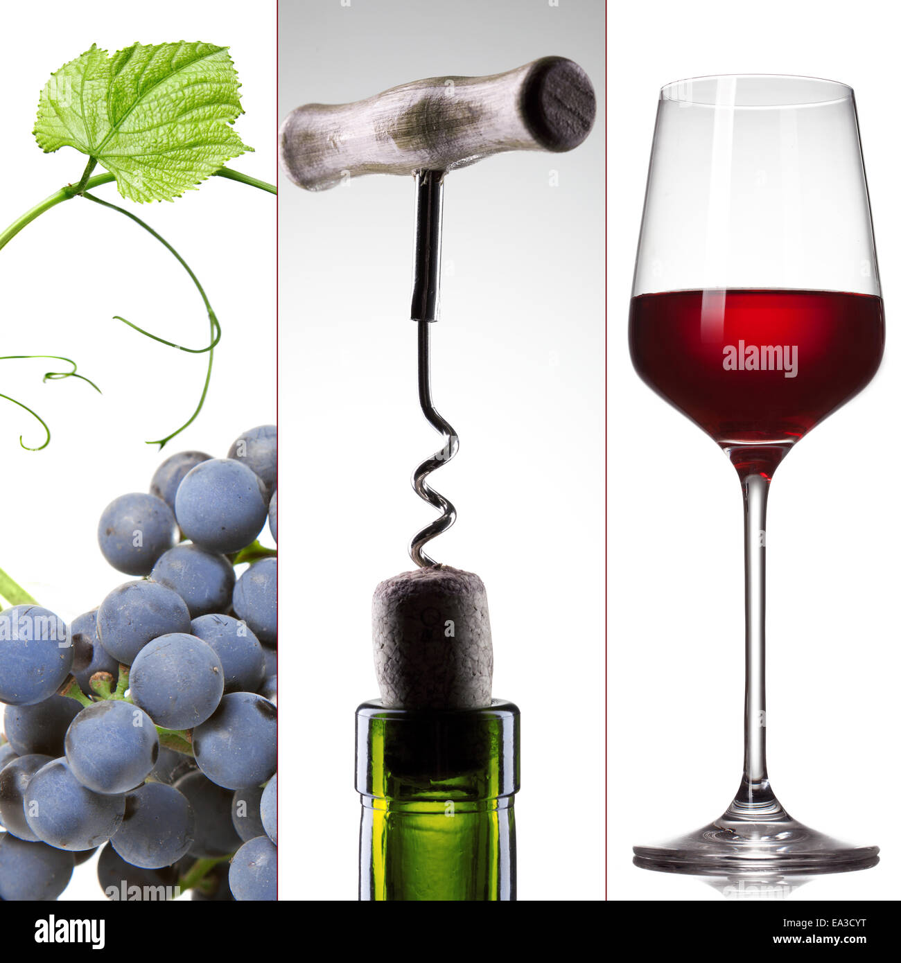 wine collage - grape, bottle and glass Stock Photo - Alamy