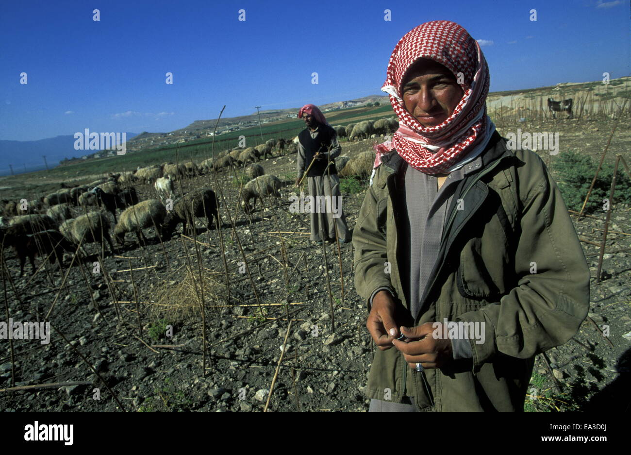 Syria farming hi-res stock photography and images - Alamy