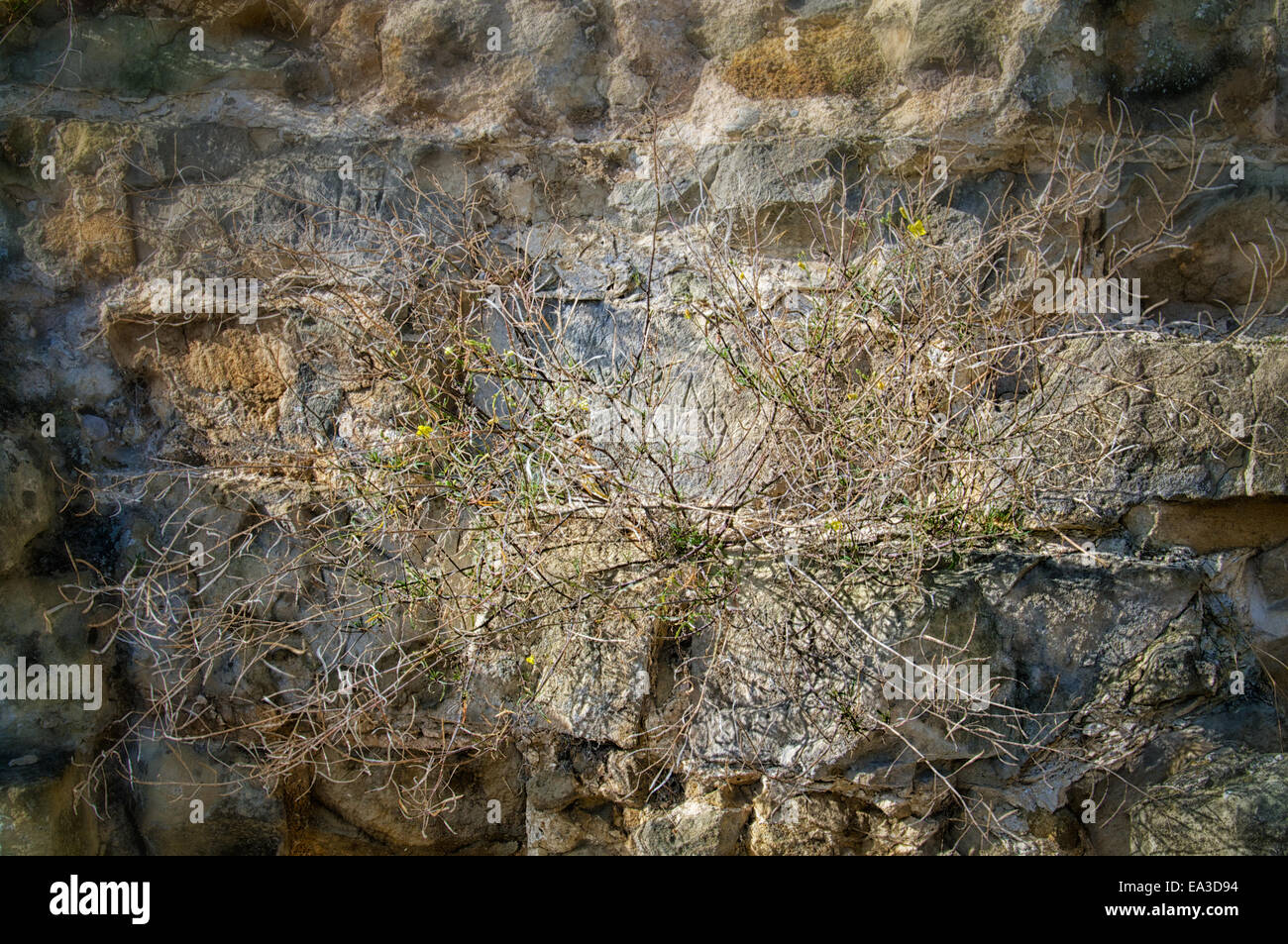 Protect castle hi-res stock photography and images - Alamy