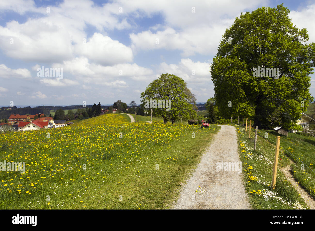 Scheidegg in Bavaria Stock Photo - Alamy