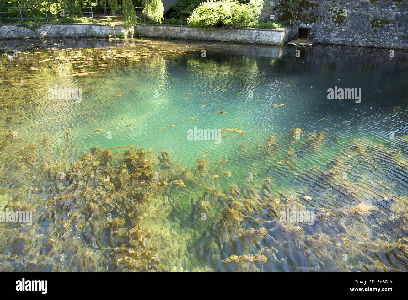 Lippe-spring in Bad Lippspringe, Germany Stock Photo - Alamy