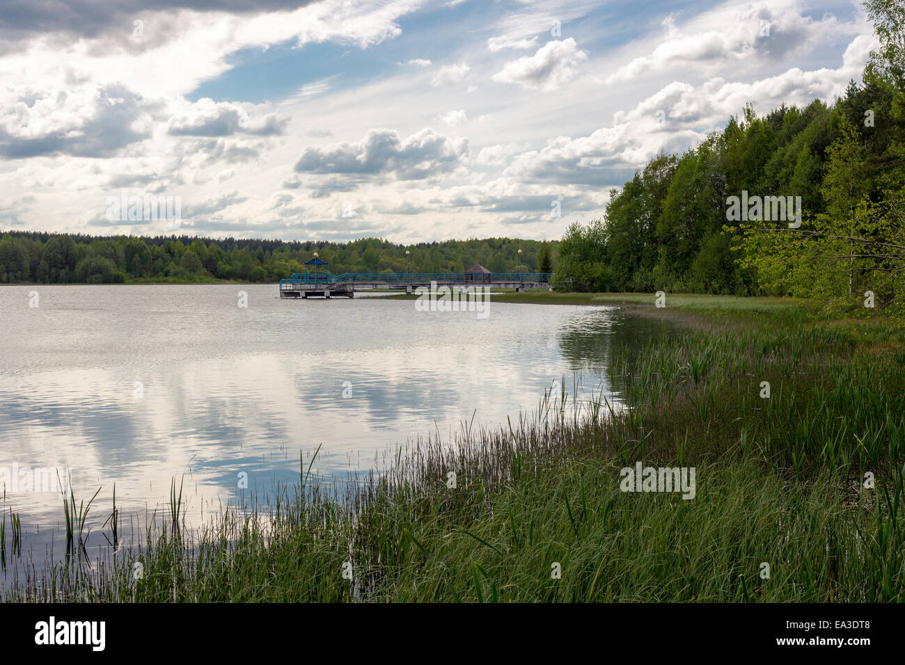 Forest lake, Vitebsk region, Belarus Stock Photo - Alamy