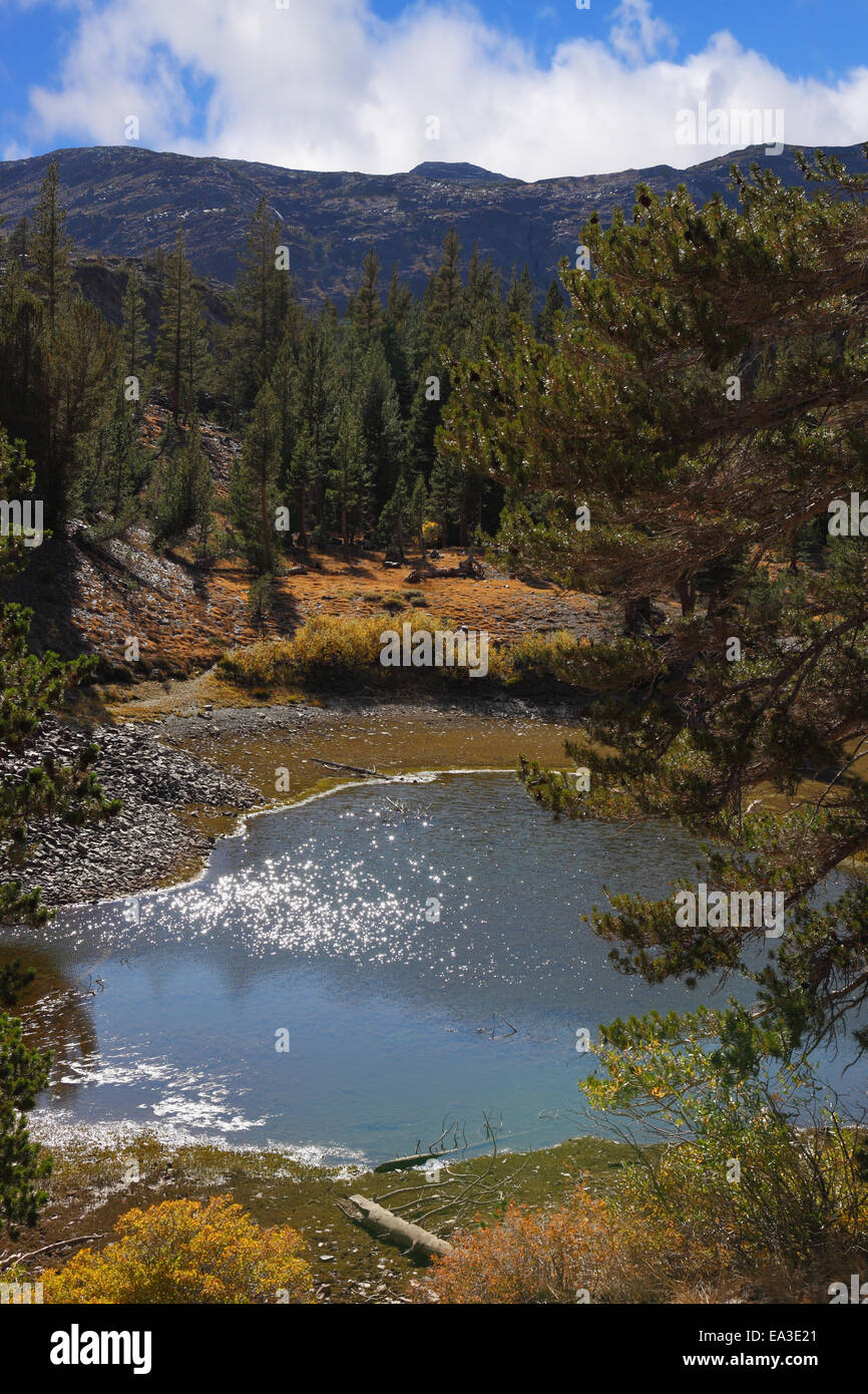 Charming lake Ellery Stock Photo - Alamy