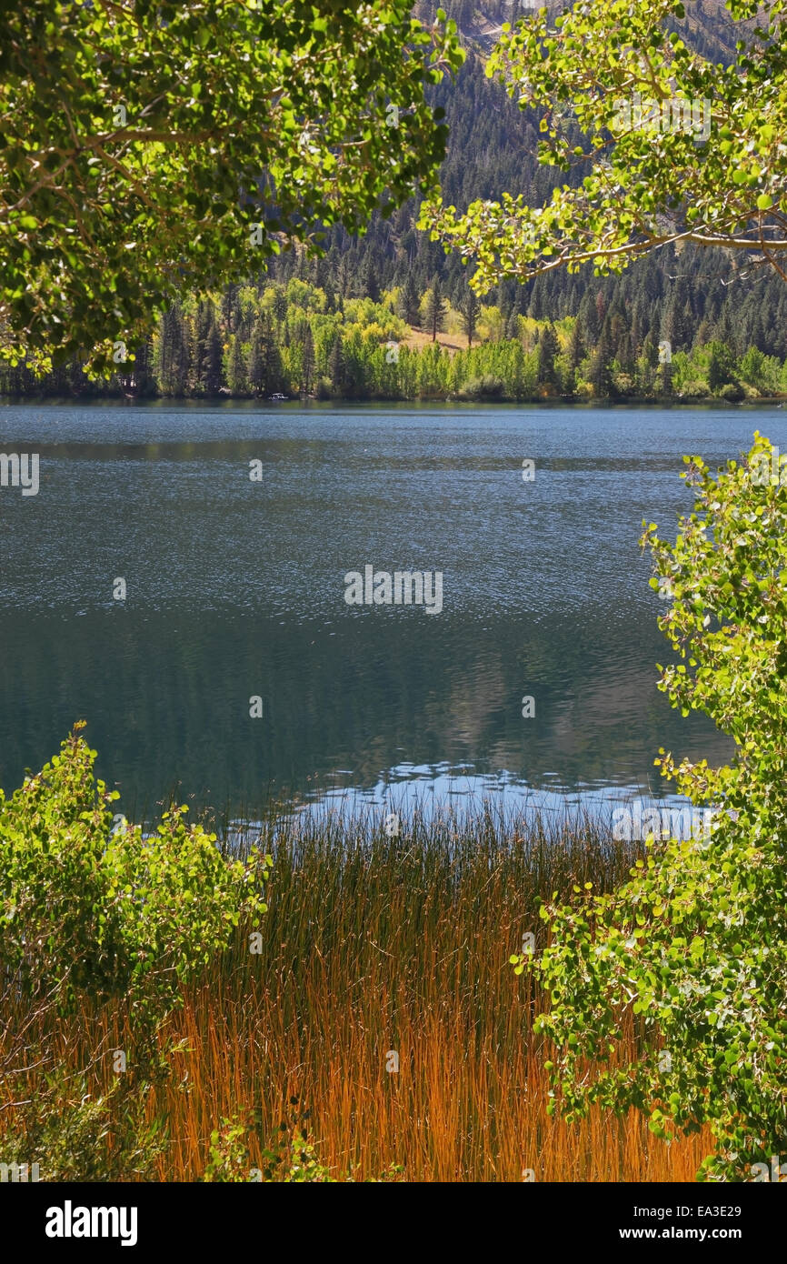 The lake in California Stock Photo - Alamy