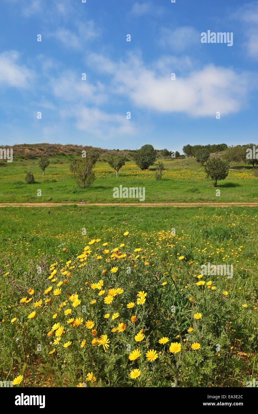 Clear spring day. The rural footpath Stock Photo - Alamy