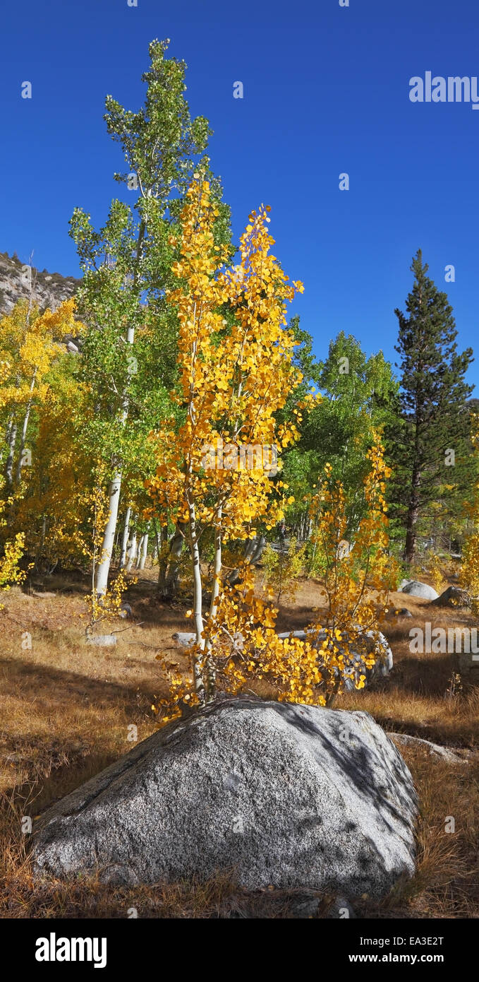 The rocks - boulders in the grass Stock Photo - Alamy