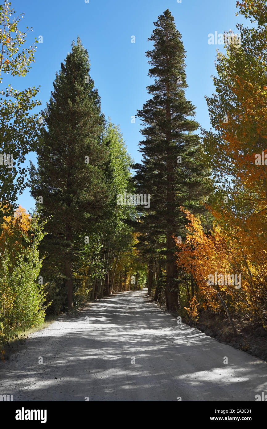 Nice trail in the mountain park Stock Photo - Alamy