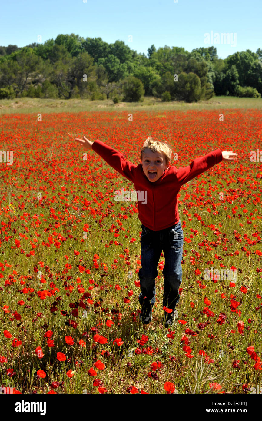 Poppy Field In Spring Stock Photo - Alamy