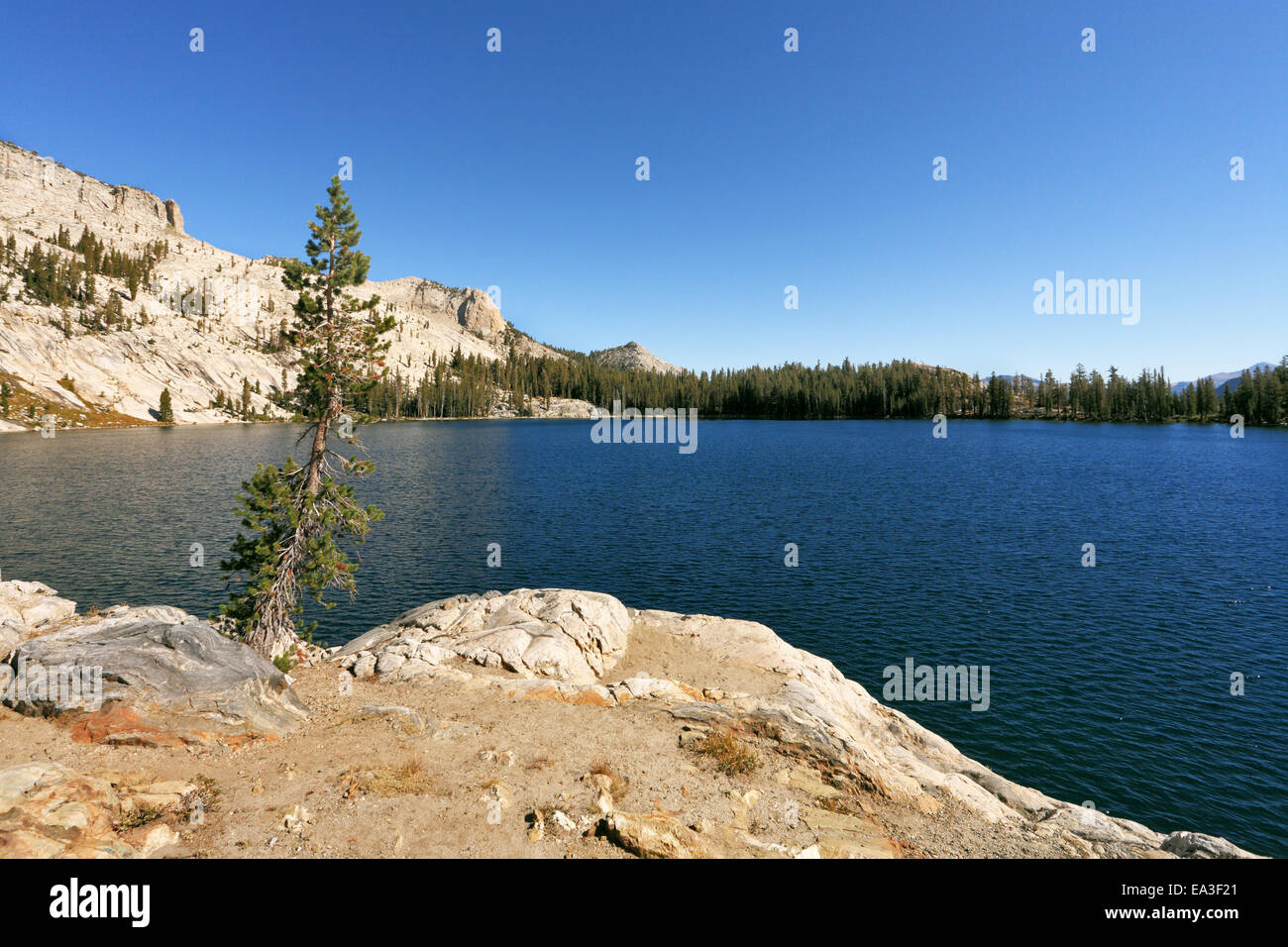 The May lake in mountains Yosemite park Stock Photo - Alamy