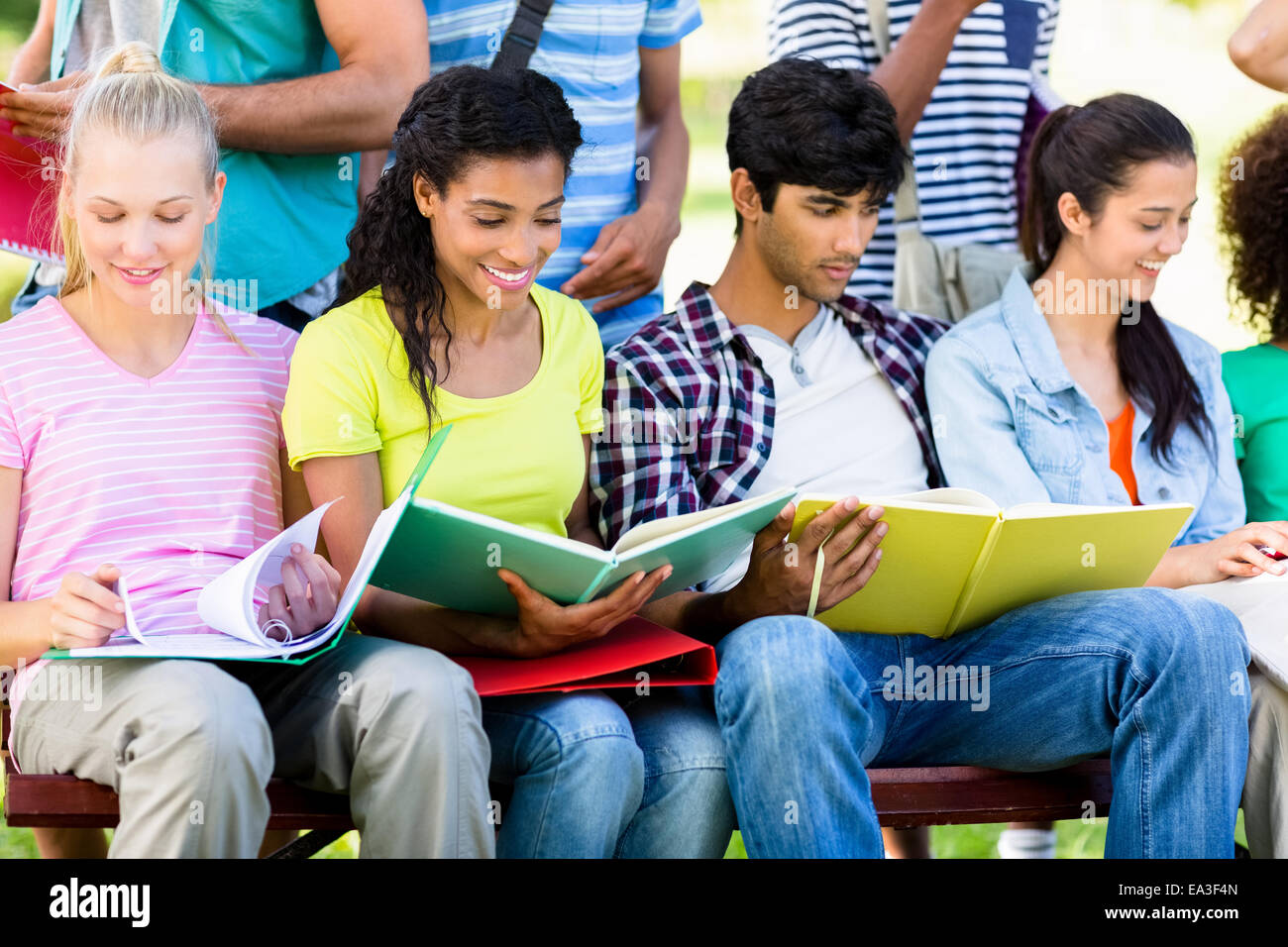 Students studying on bench Stock Photo - Alamy