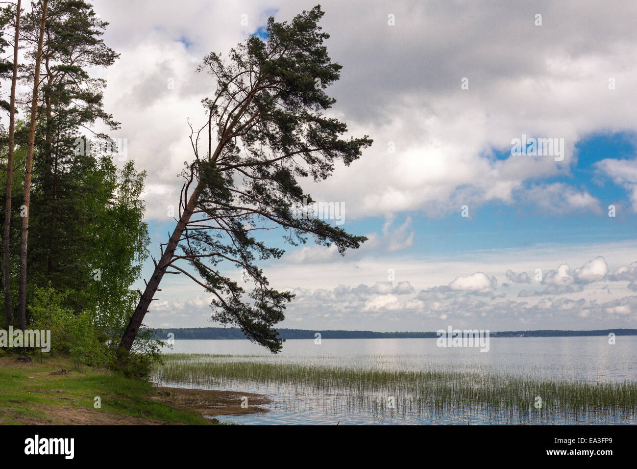 Lake Narach, Minsk region, Belarus Stock Photo - Alamy