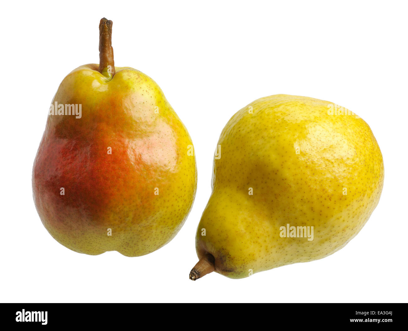 Two pears hi-res stock photography and images - Alamy