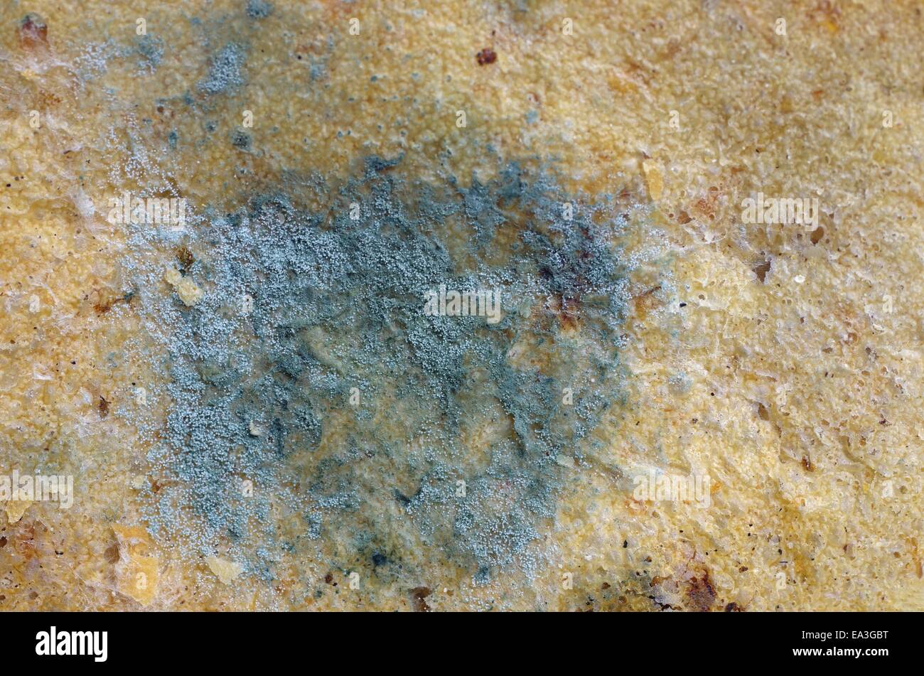 Nauseating hi-res stock photography and images - Alamy