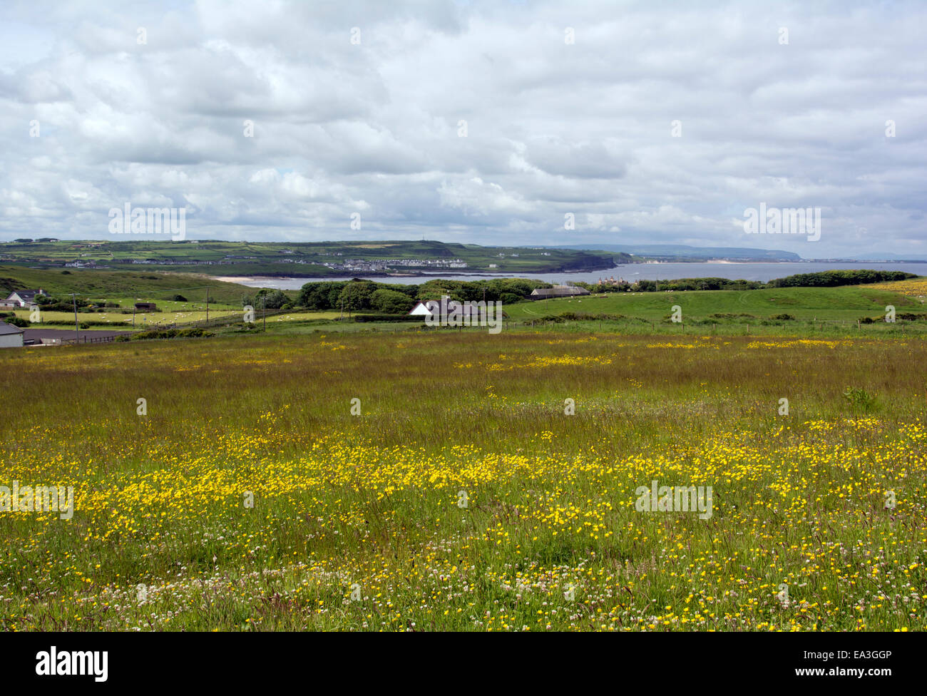 Causeway farm hi-res stock photography and images - Alamy
