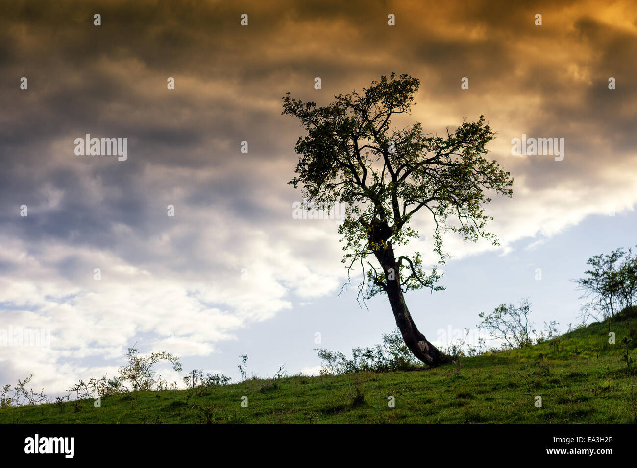 Lonley hi-res stock photography and images - Alamy