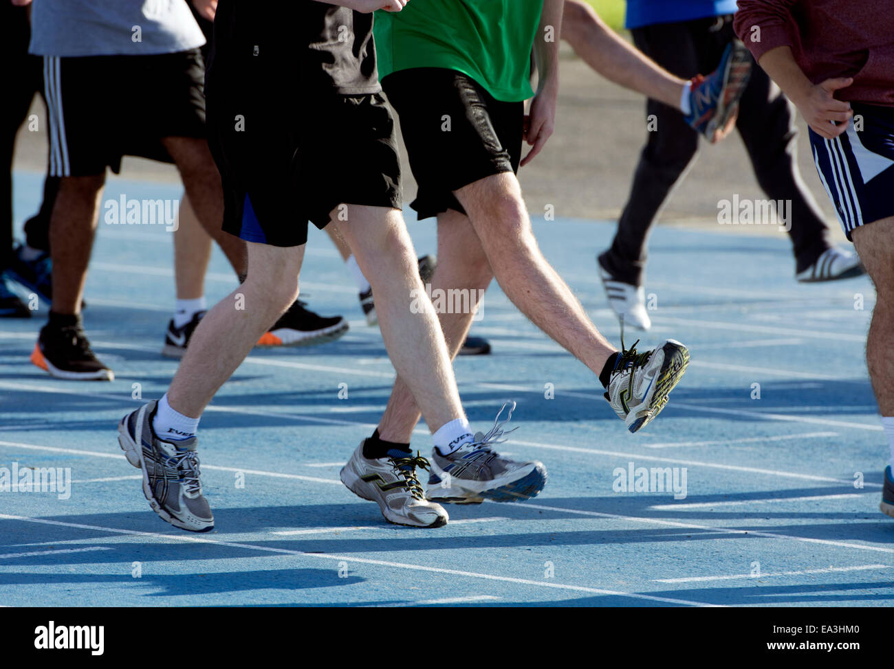 University sport, athletics training group warming up Stock Photo - Alamy