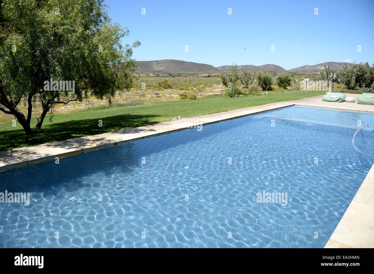 A safari lodge swimming pool in Africa Stock Photo - Alamy