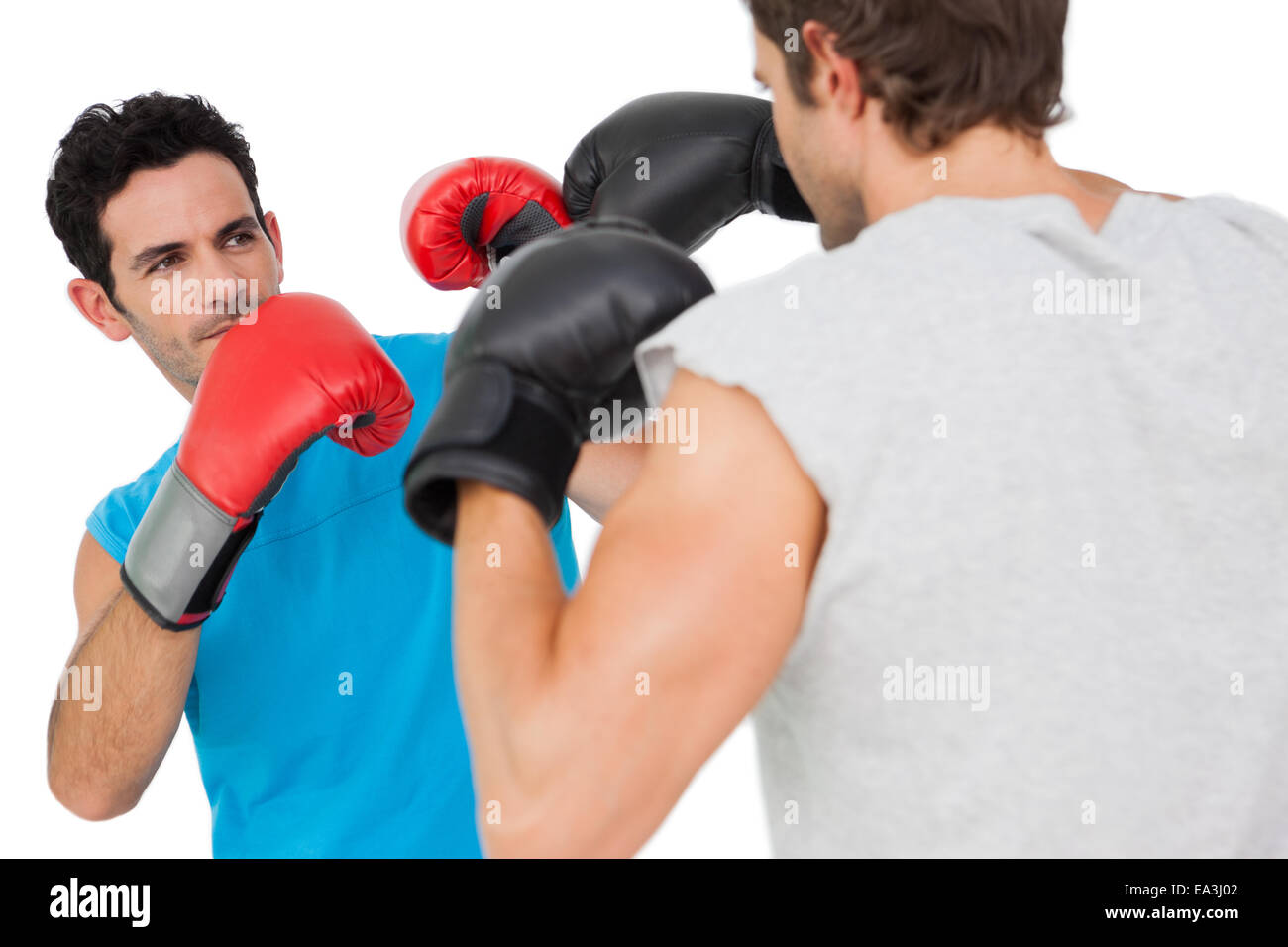 Close-up of two male boxers practicing Stock Photo - Alamy