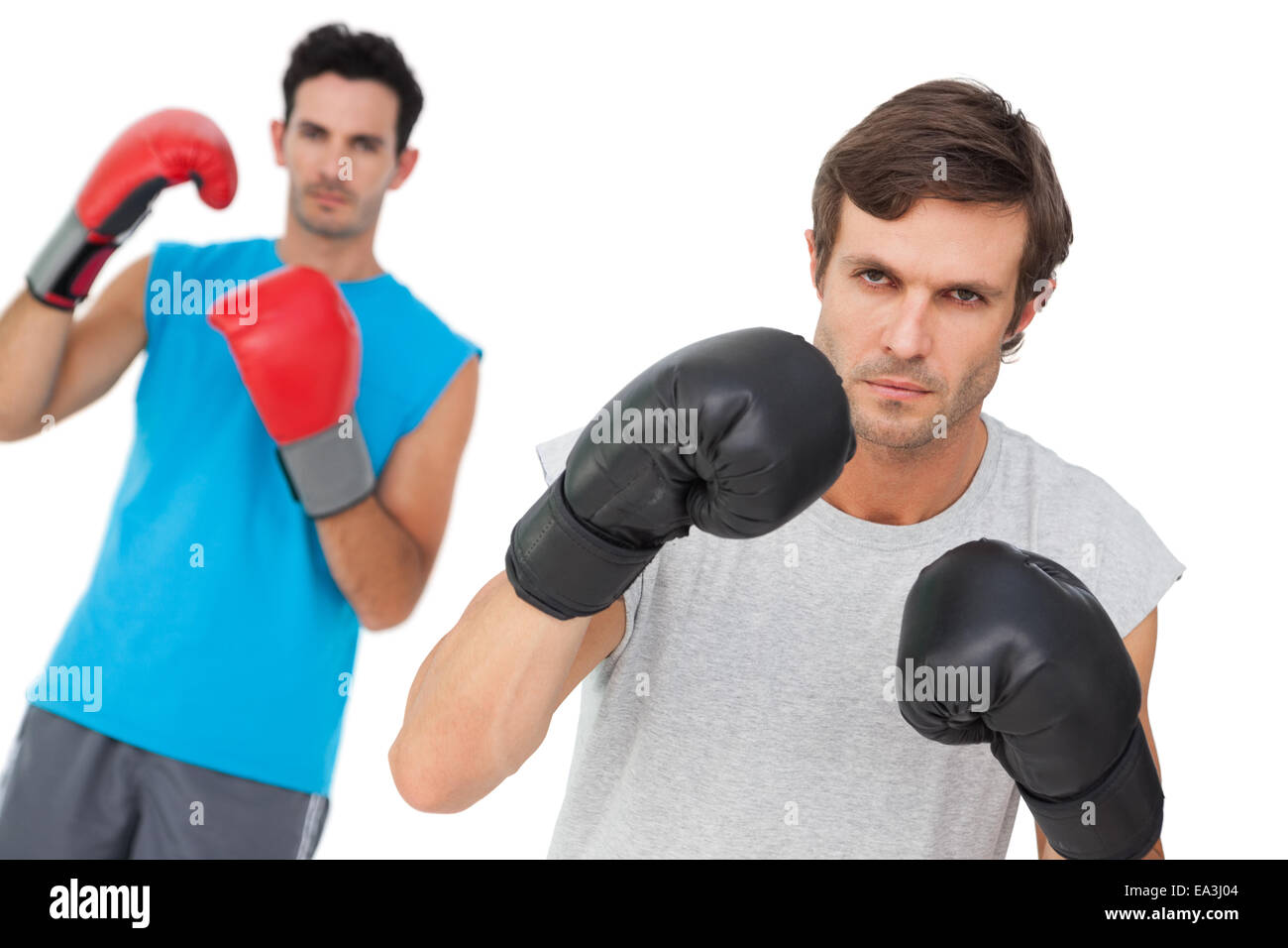 Portrait of two male boxers practicing Stock Photo - Alamy