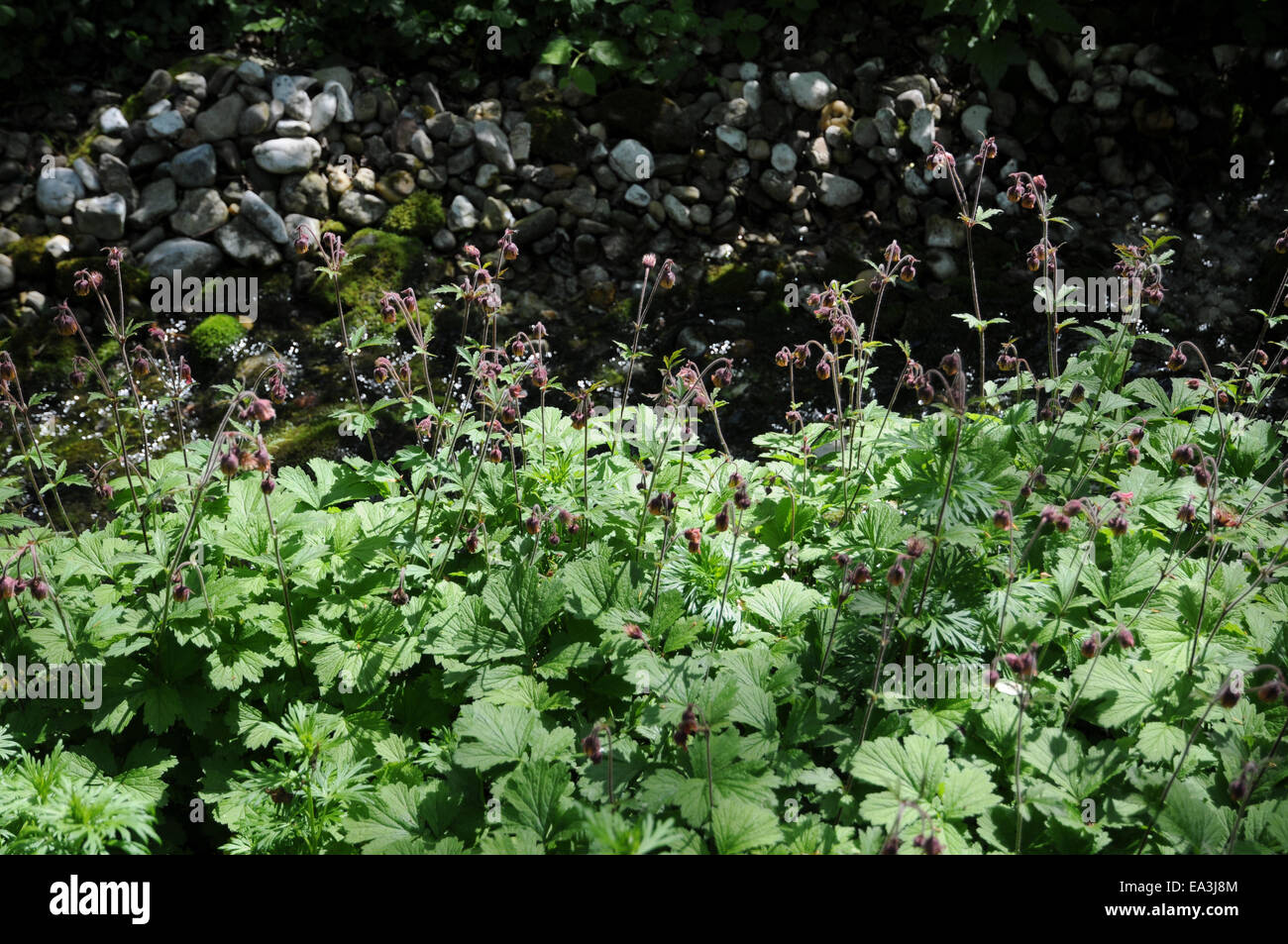 Evens hi-res stock photography and images - Alamy