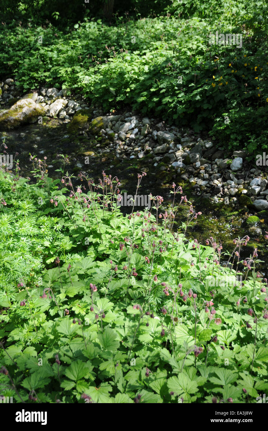 Evens hi-res stock photography and images - Alamy