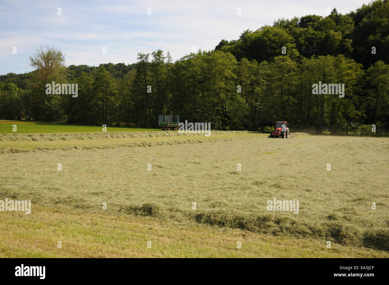 Heuwender hi-res stock photography and images - Alamy