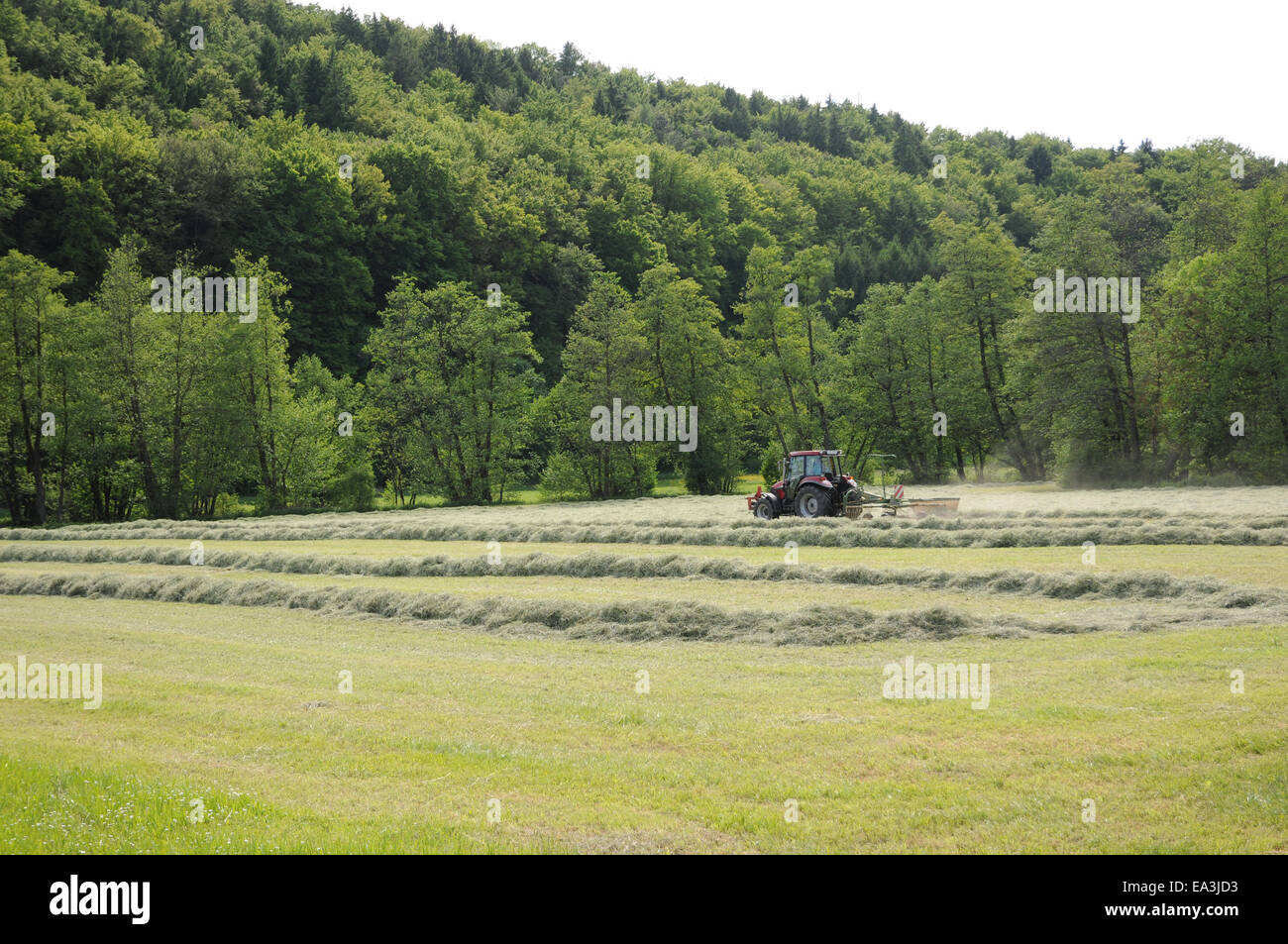 Heuwender hi-res stock photography and images - Alamy