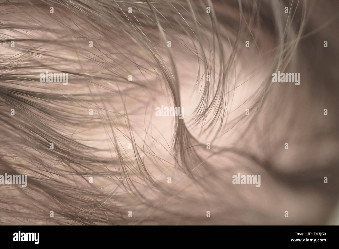 Babys hair hi-res stock photography and images - Alamy