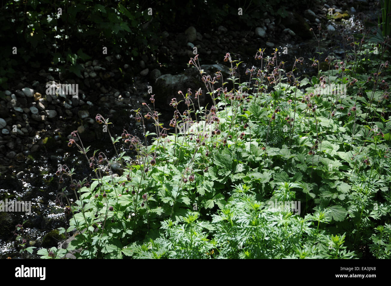 Evens hi-res stock photography and images - Alamy