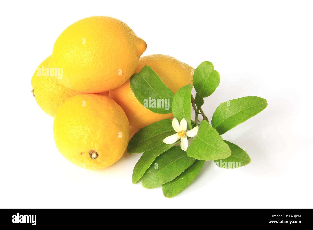 Le limon hi-res stock photography and images - Alamy