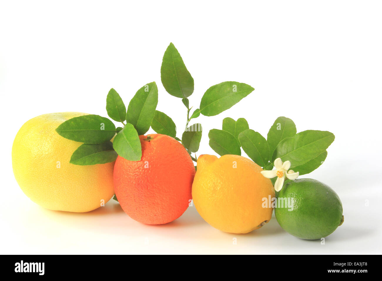 Citrus fruits hi-res stock photography and images - Alamy