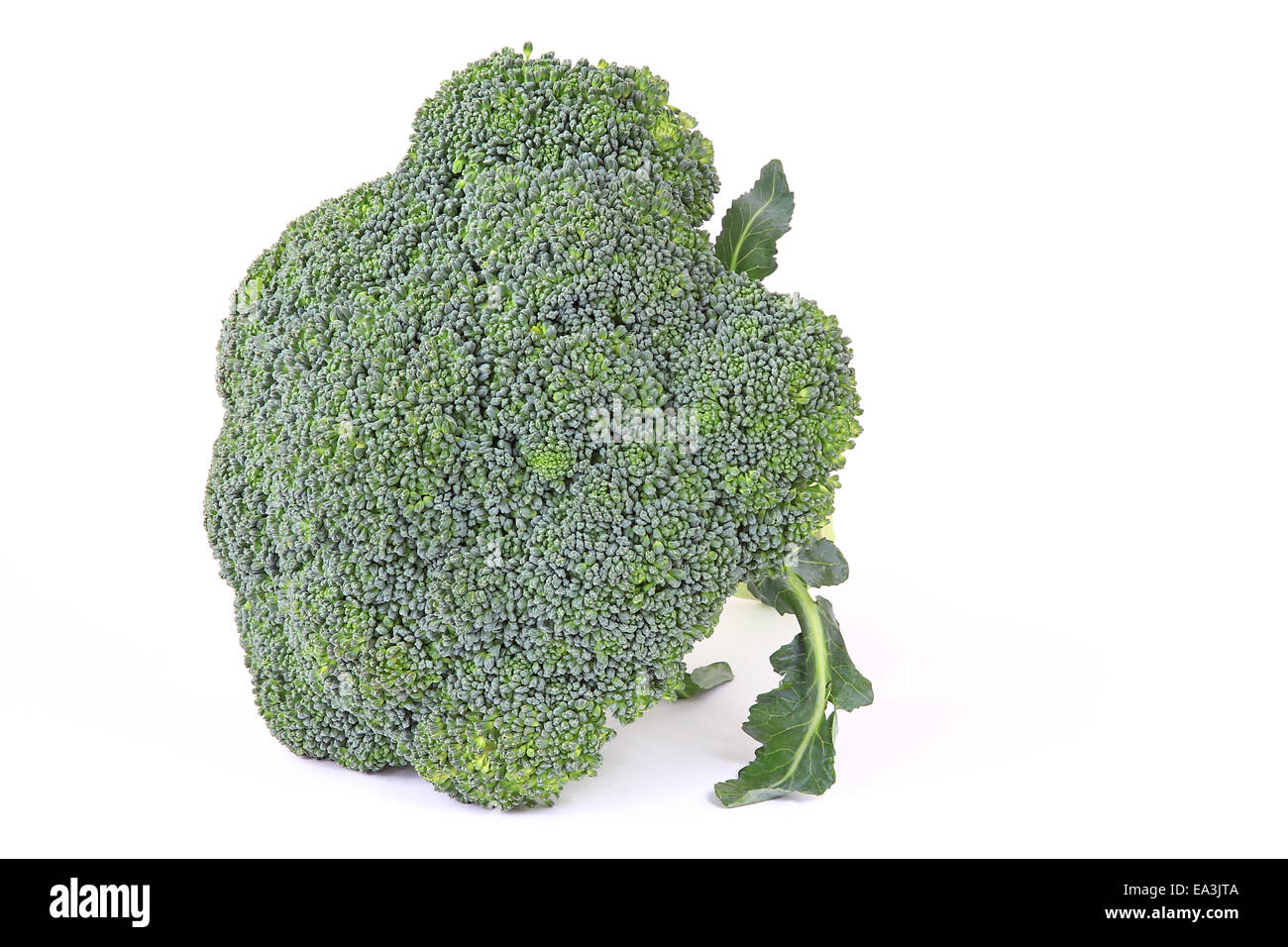 Single Broccoli Cut Out High Resolution Stock Photography and Images ...