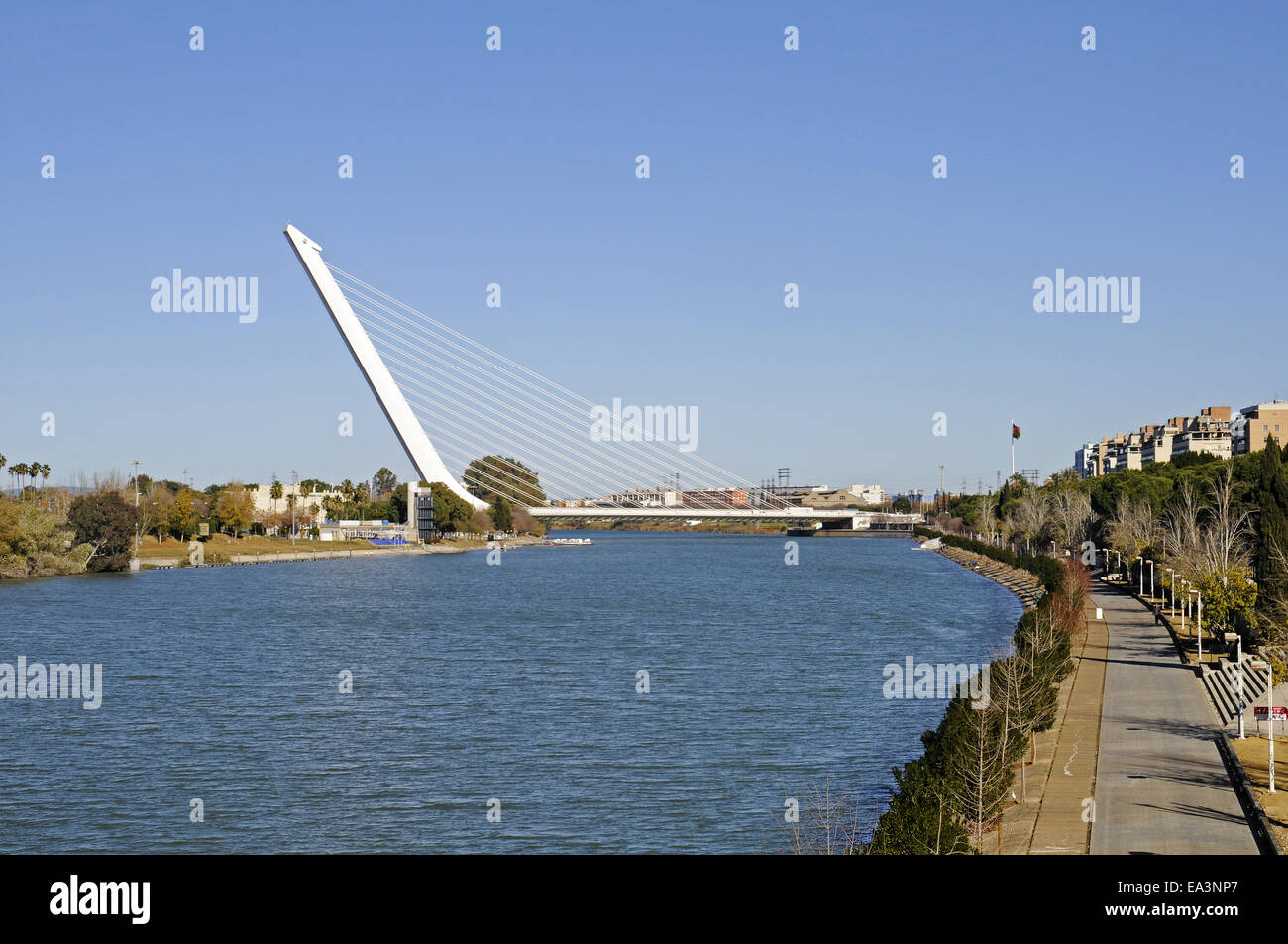 Alamillo Bridge, Guadalquivir, Seville, Spain Stock Photo - Alamy