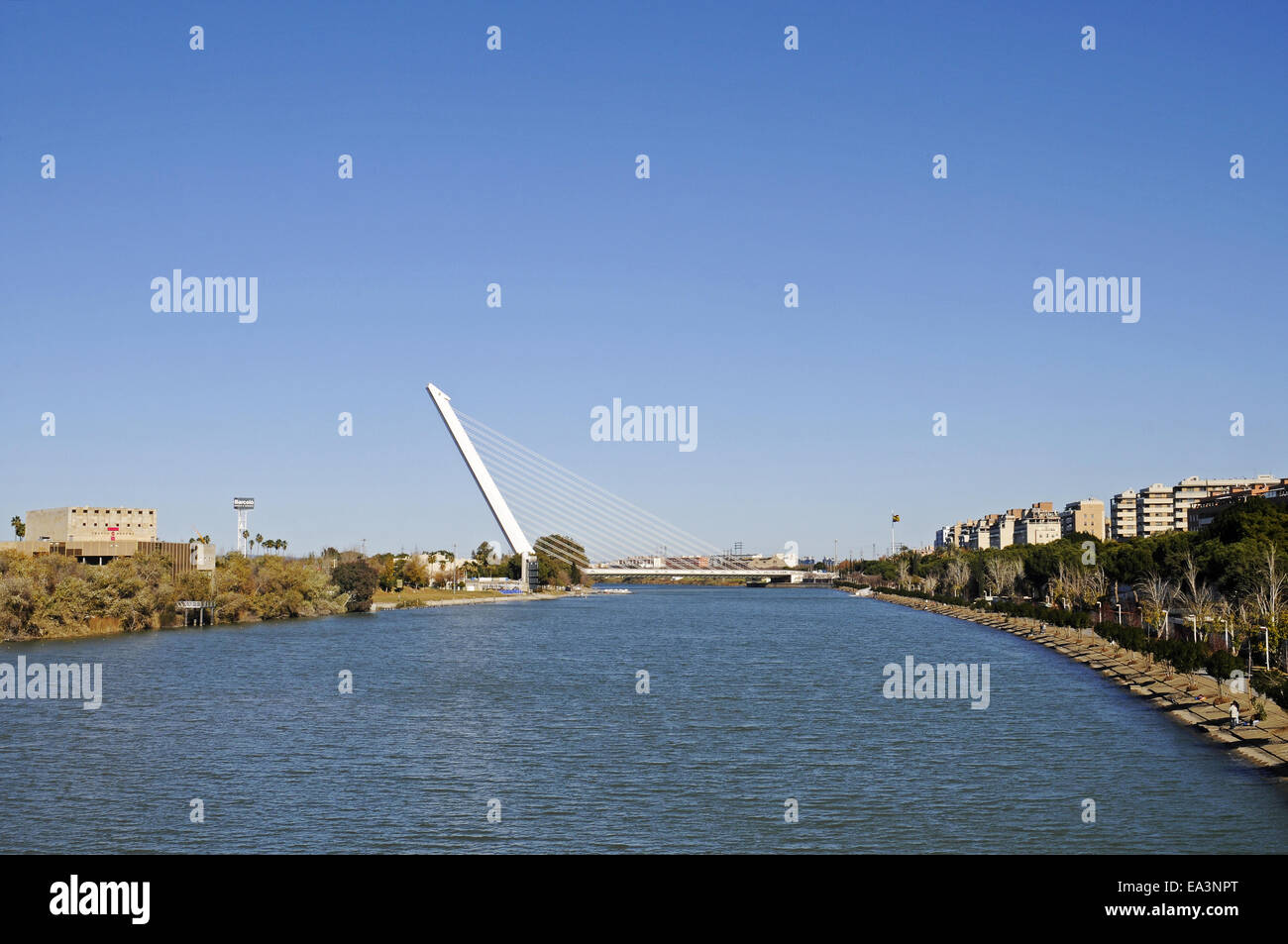 Alamillo Bridge, Guadalquivir, Seville, Spain Stock Photo - Alamy