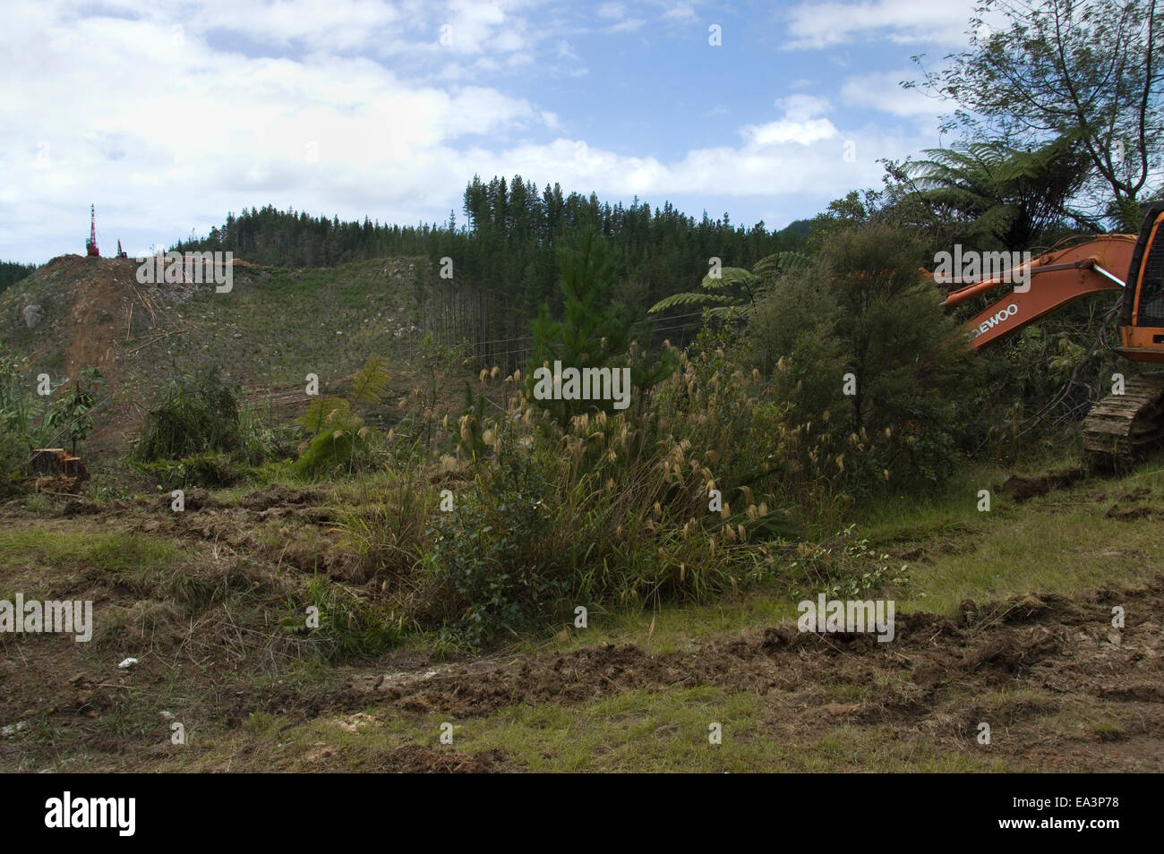 Logging in New Zealand Stock Photo - Alamy