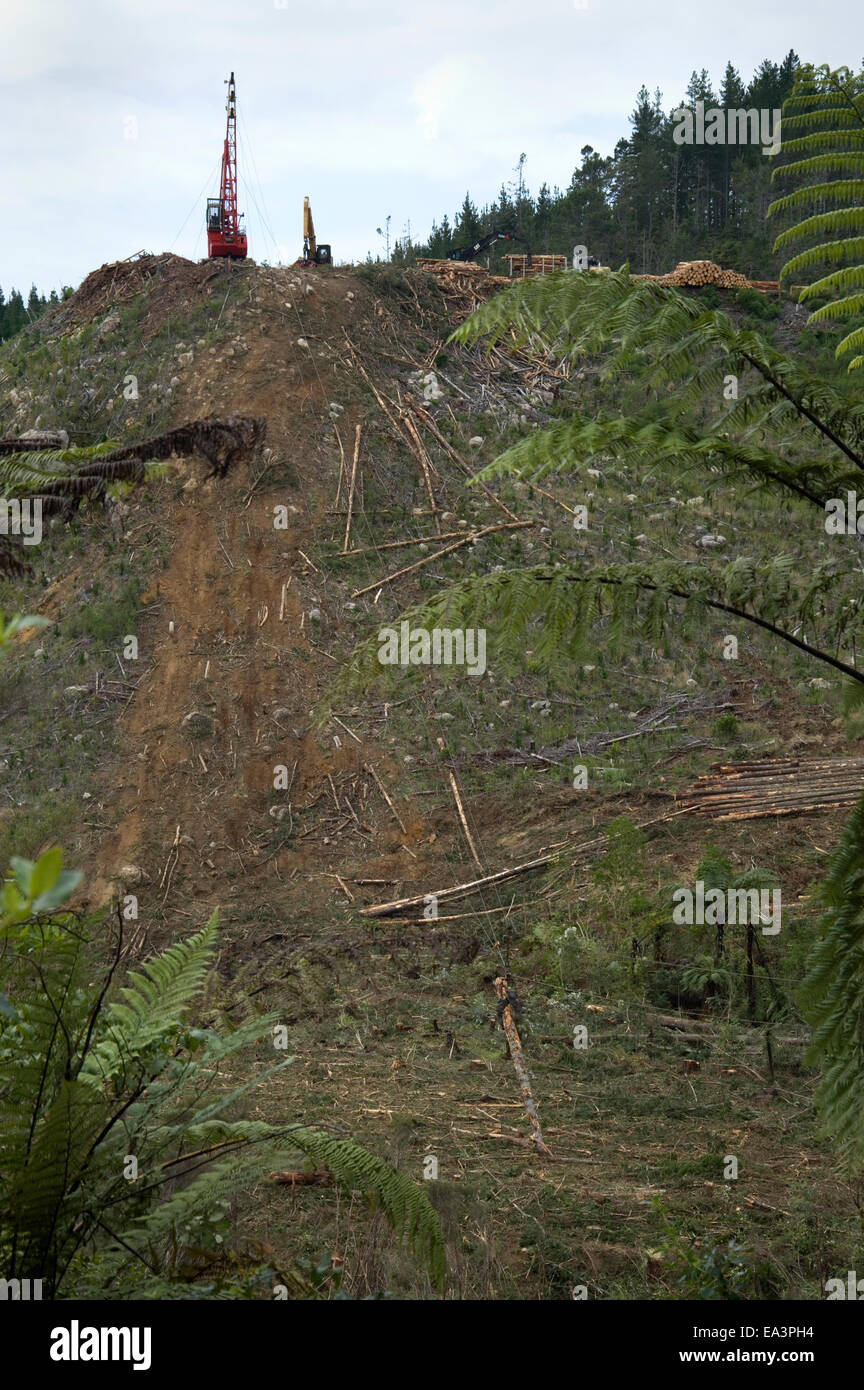 Logging in New Zealand Stock Photo - Alamy